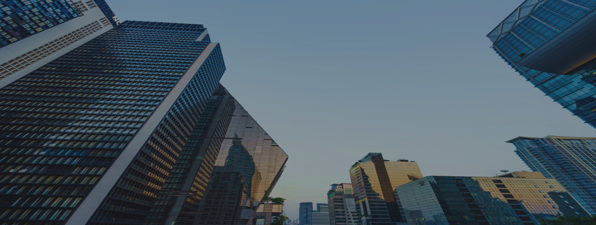 About Shanghai Blue Cloud Technologies Co., Ltd